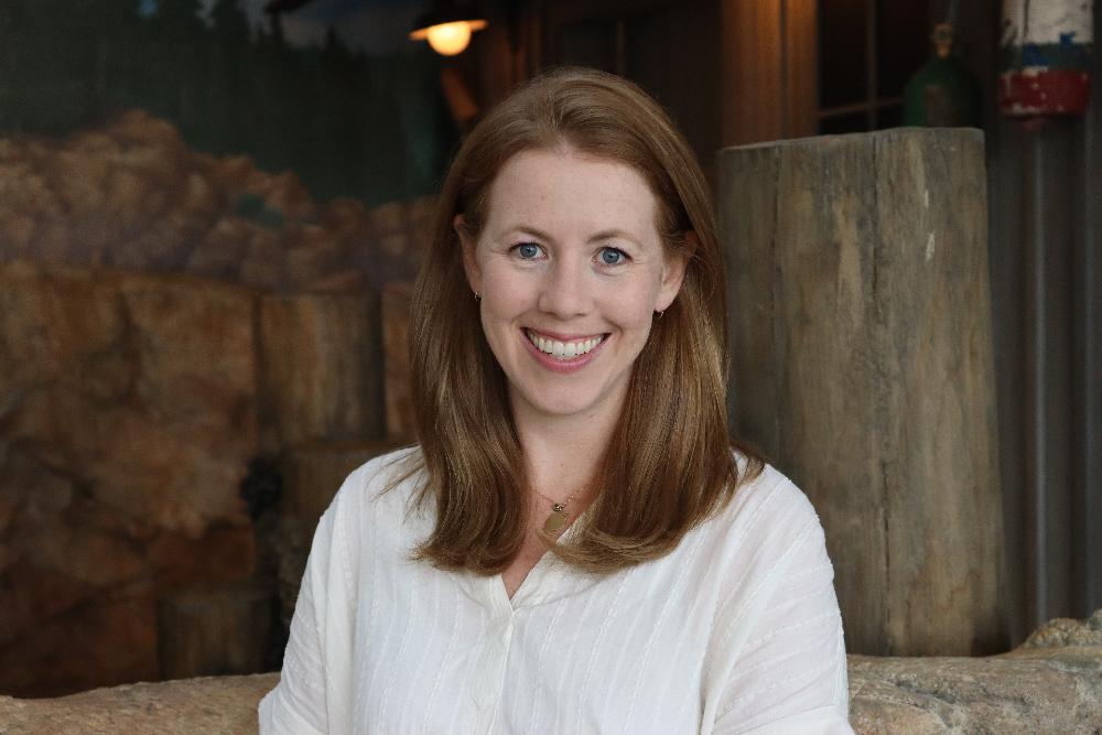 Salt Marshes and Sea-Level Rise: In Branford and Beyond – Finding ...