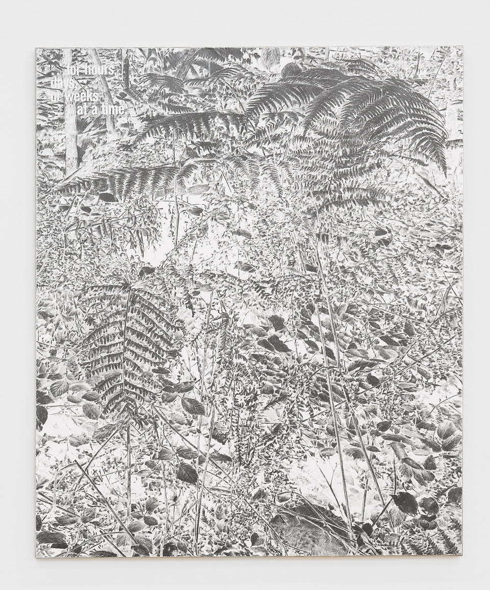 The Aldrich Contemporary Art Museum announces Martin Beck: For Hours ...